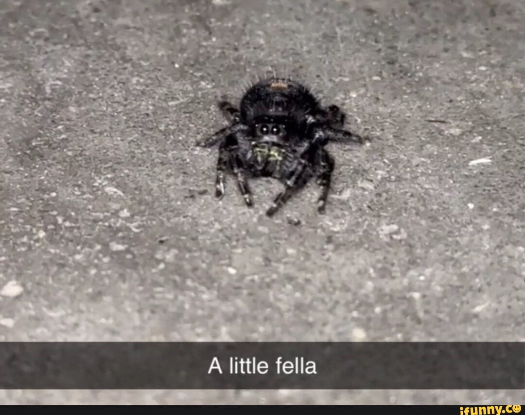 Basketball memes. Best Collection of funny Basketball pictures on iFunny