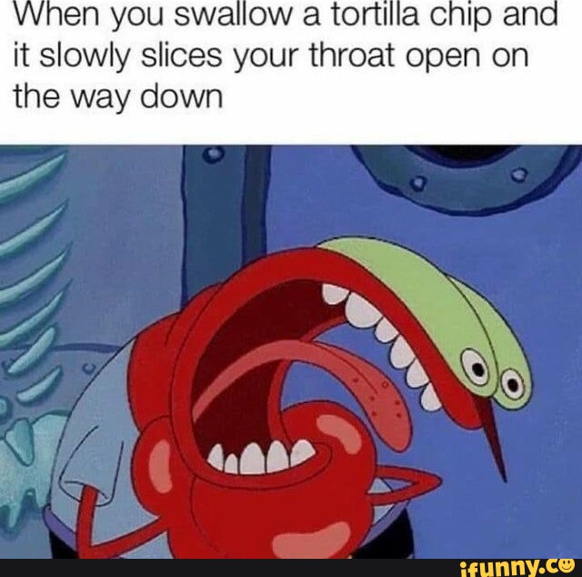 Tortilla memes. Best Collection of funny Tortilla pictures on iFunny