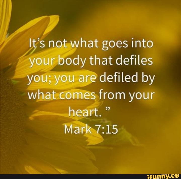 It's not what goes into your body that defiles you; you are defiled by ...