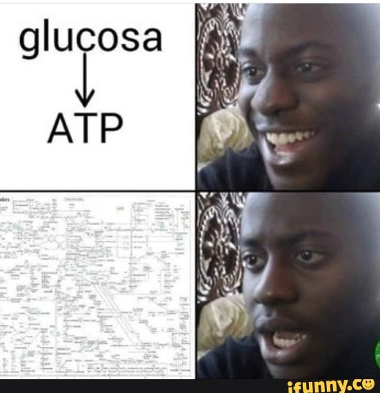 Glucosa memes. Best Collection of funny Glucosa pictures on iFunny