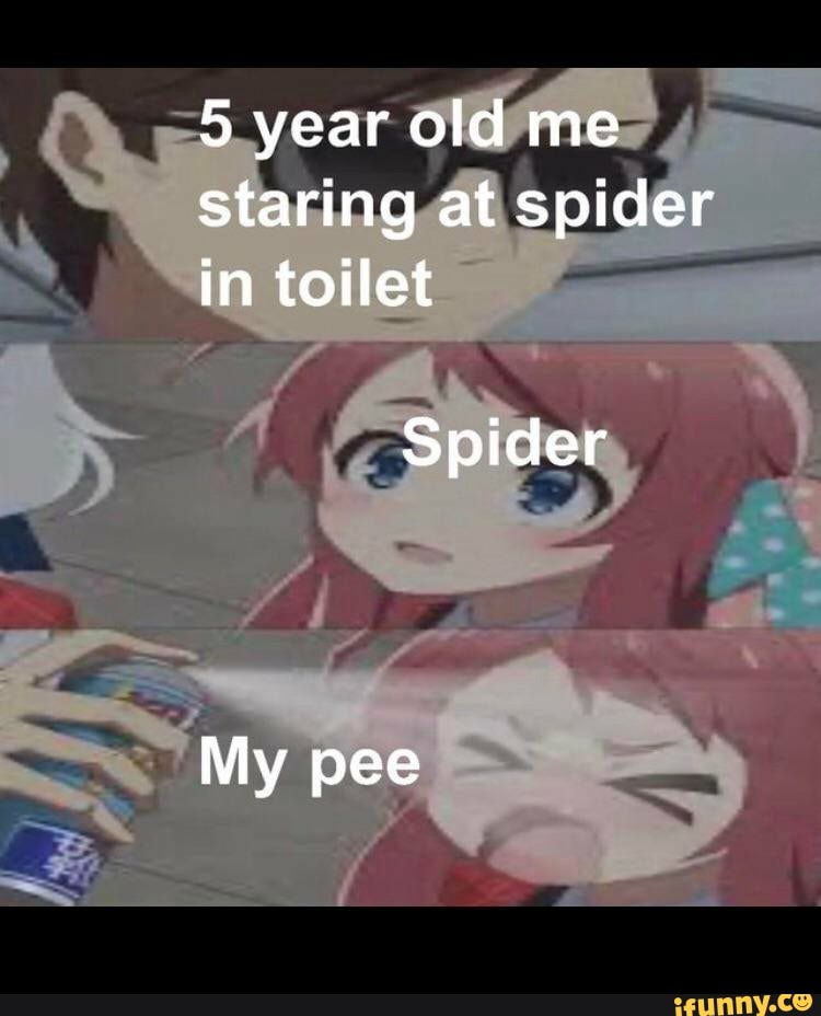 5 year old me staring at spider in toilet Spider My pee - iFunny