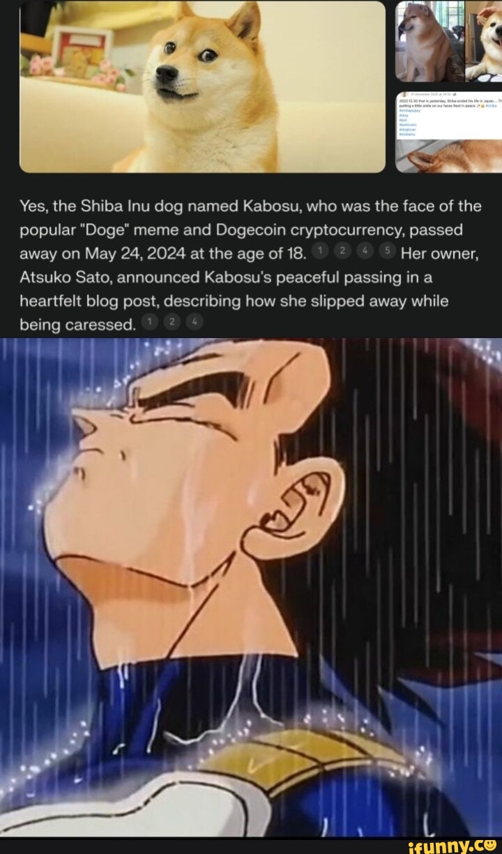 Atsuko memes. Best Collection of funny Atsuko pictures on iFunny