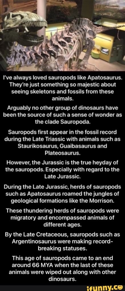 Plateosaurus memes. Best Collection of funny Plateosaurus pictures on ...