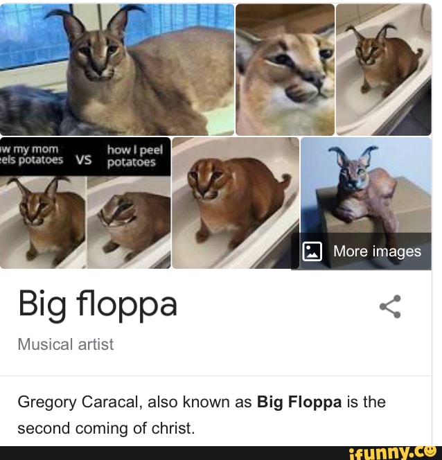 More images Big floppa Musical artist Gregory Caracal, also known as ...