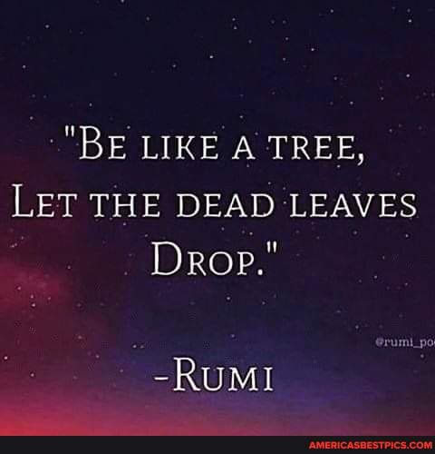 "BE LIKE A TREE, LET THE DEAD LEAVES Drop." -RUMI - America’s best pics and videos