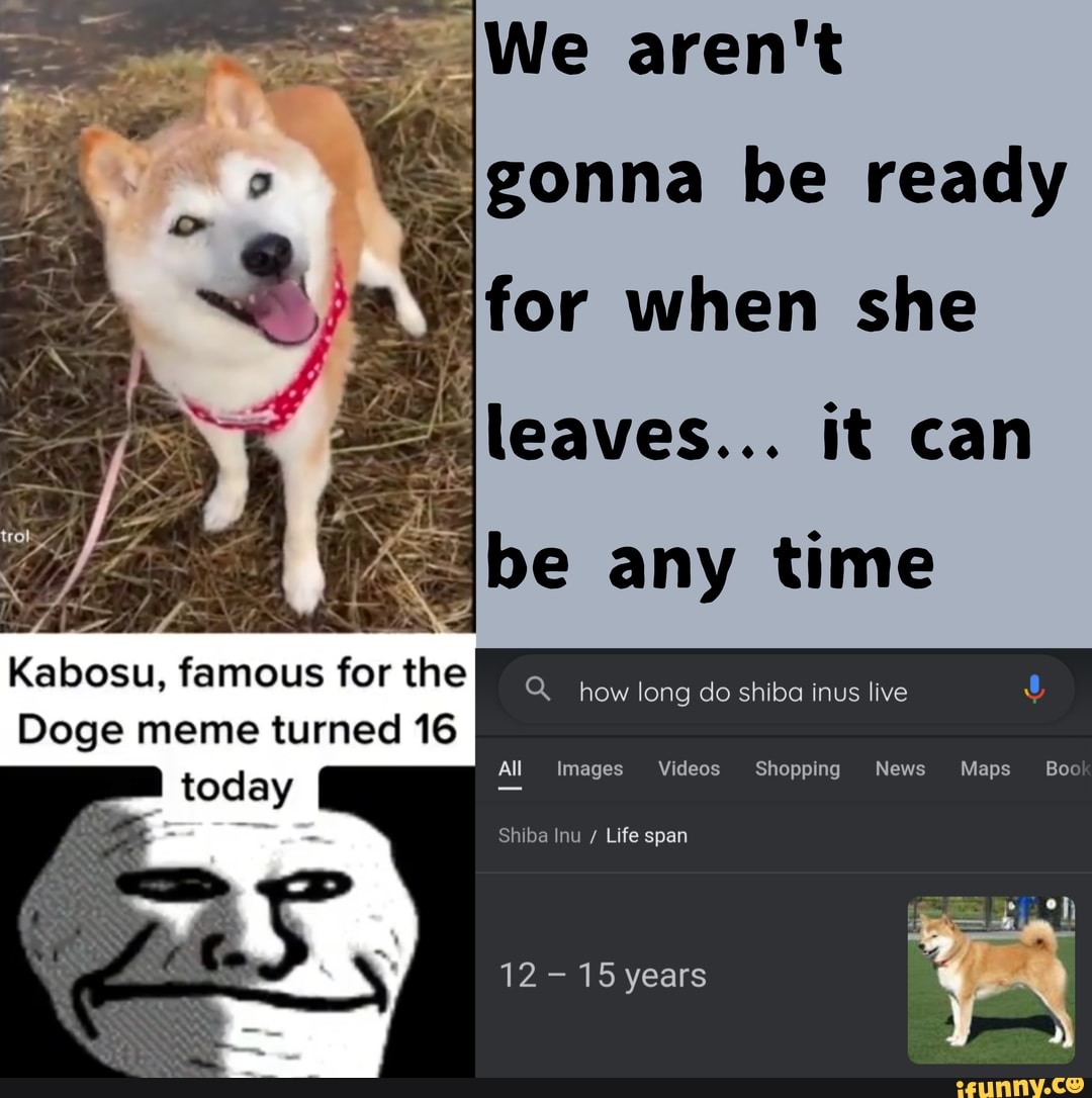 We aren't gonna be ready for when she 'leaves... it can any time Kabosu ...