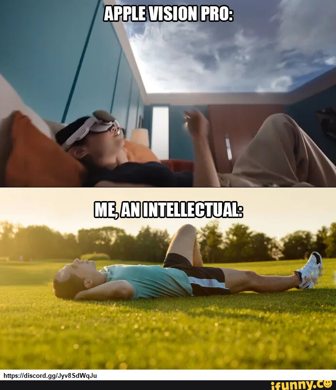 APPLE VISION PRO: MEAN INTELLECTUAL: - iFunny
