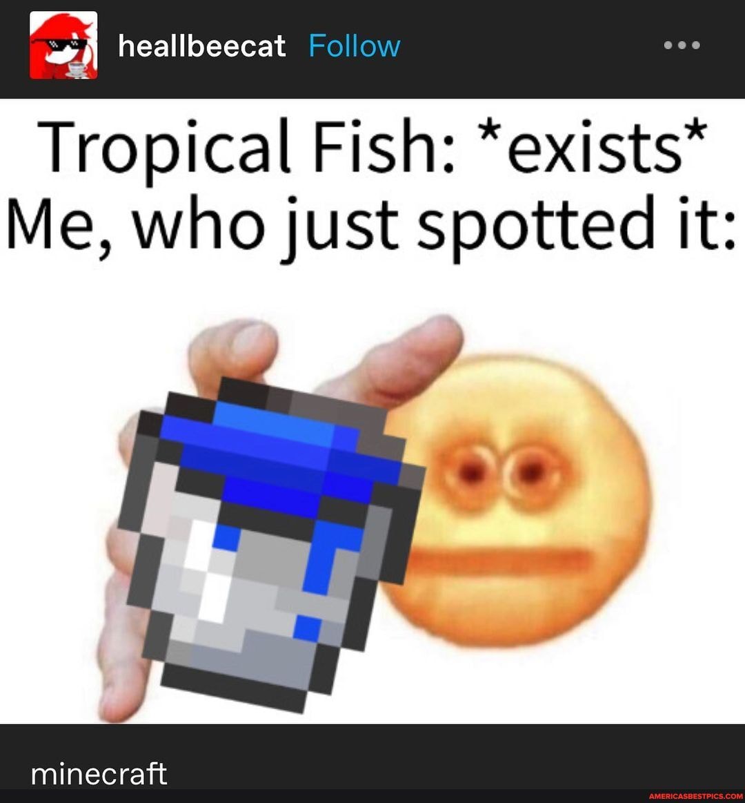 Tropical Fish: *exists* Me, who just spotted it: minecraft - America’s ...