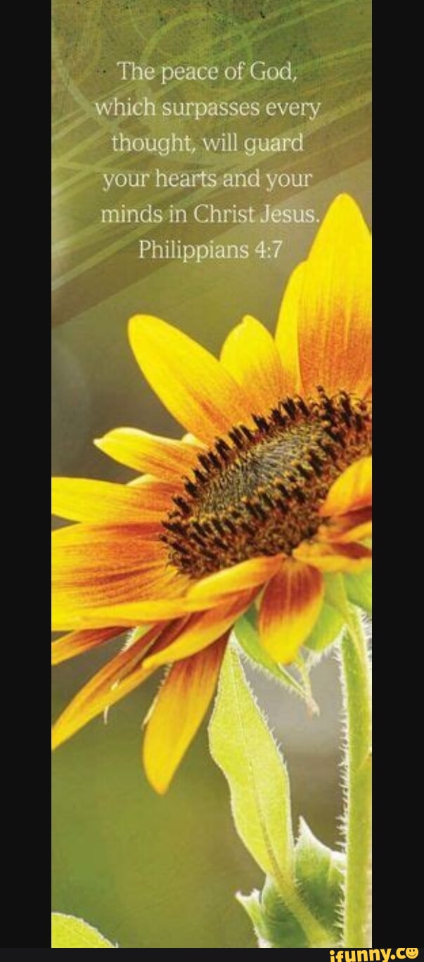 The peace of God, which surpasses every thought, will guacd d your ...