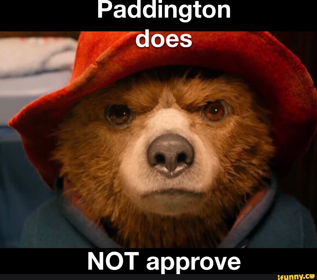 Paddington memes. Best Collection of funny Paddington pictures on iFunny