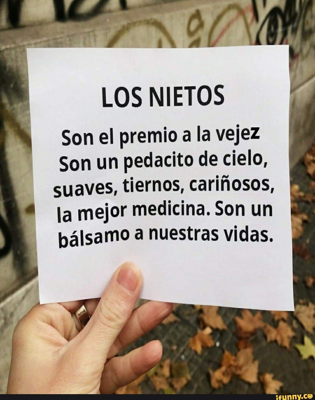 Vejez memes. Best Collection of funny Vejez pictures on iFunny