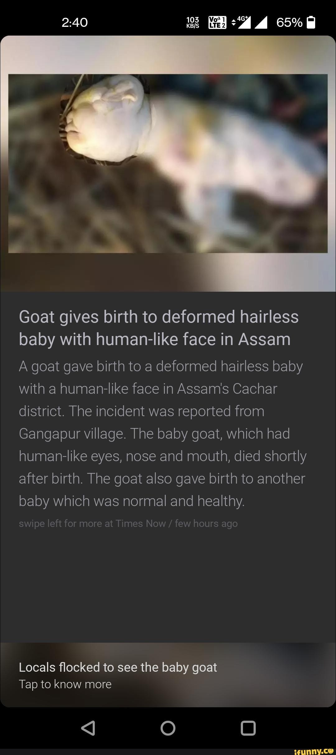 65% Goat gives birth to deformed hairless baby with human-like face in ...