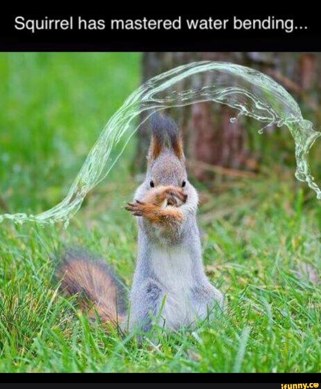 Waterbending memes. Best Collection of funny Waterbending pictures on ...