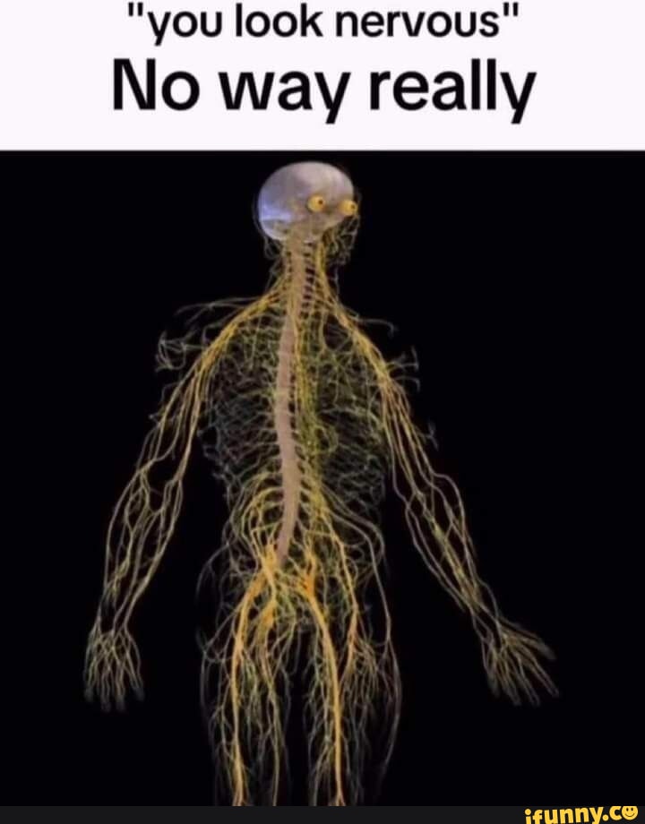 Nervous System Memes When I Thought Of This I Was Going To Share It As