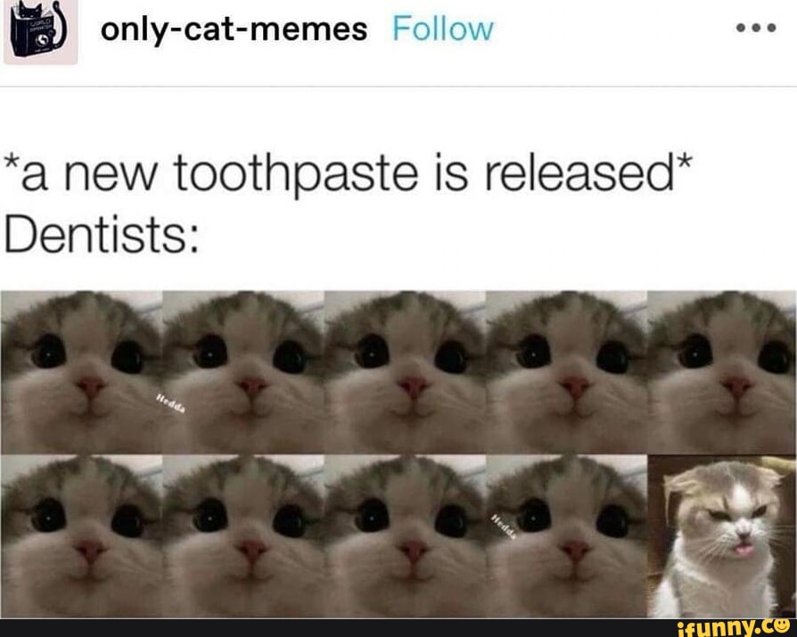 Toothpaste memes. Best Collection of funny Toothpaste pictures on iFunny