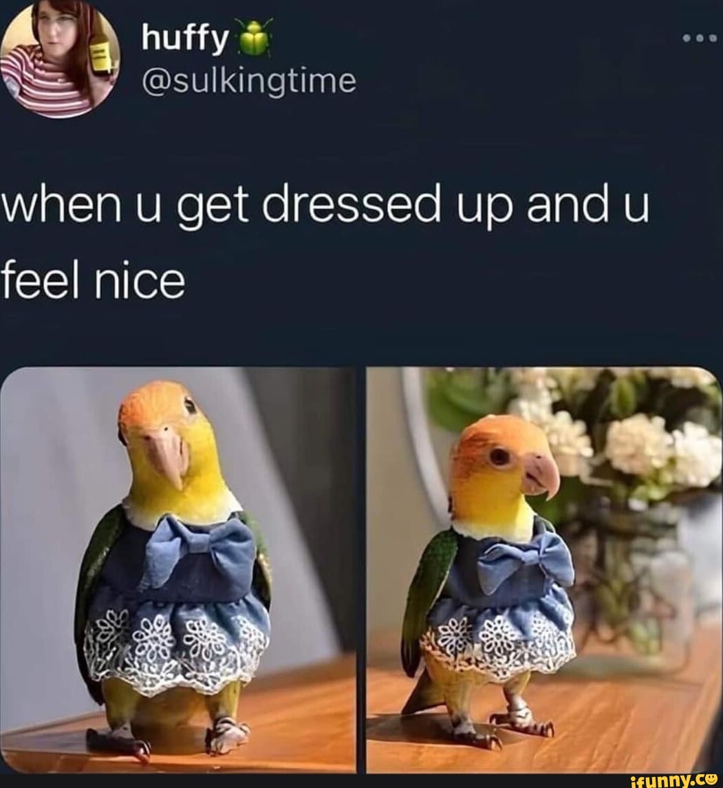 Huffy memes. Best Collection of funny Huffy pictures on iFunny