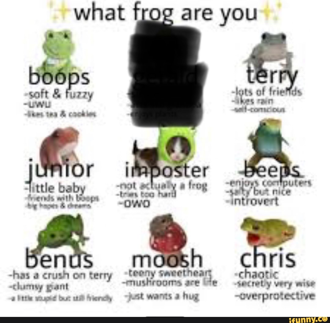 Utes memes. Best Collection of funny Utes pictures on iFunny