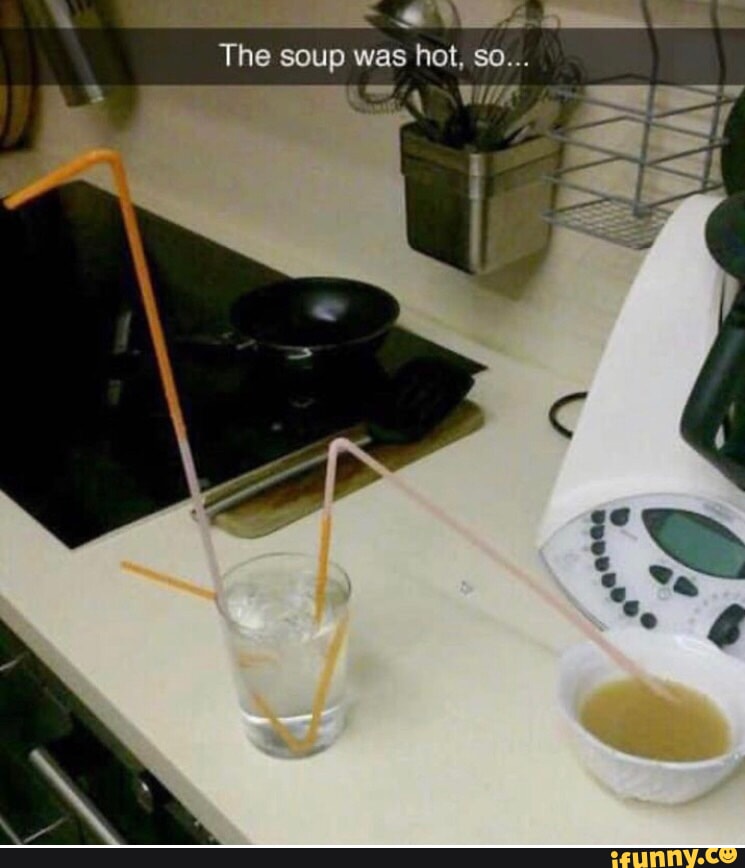 Isabella steger stegersaurus yes, it's true. long cat, known as nobiko ...