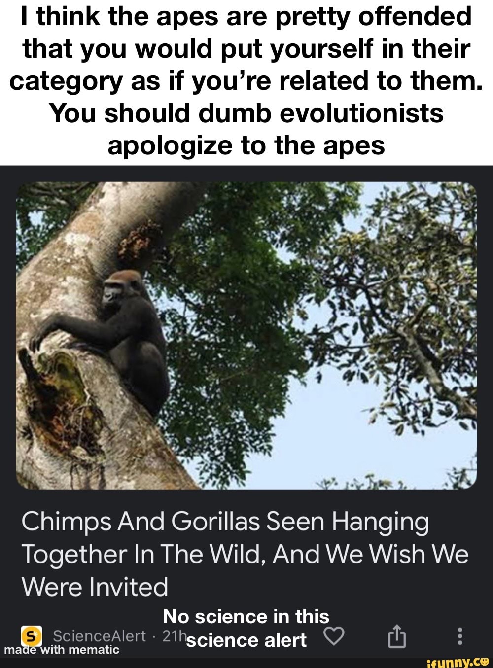 I think the apes are pretty offended that you would put yourself in ...