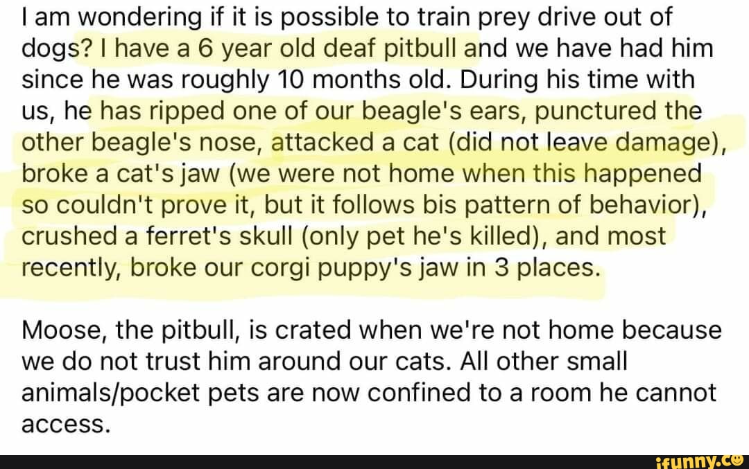 Prey memes. Best Collection of funny Prey pictures on iFunny