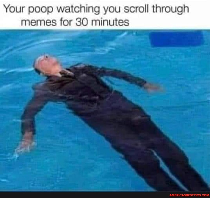 Your poop watching you scroll through memes for 30 minutes - America’s ...