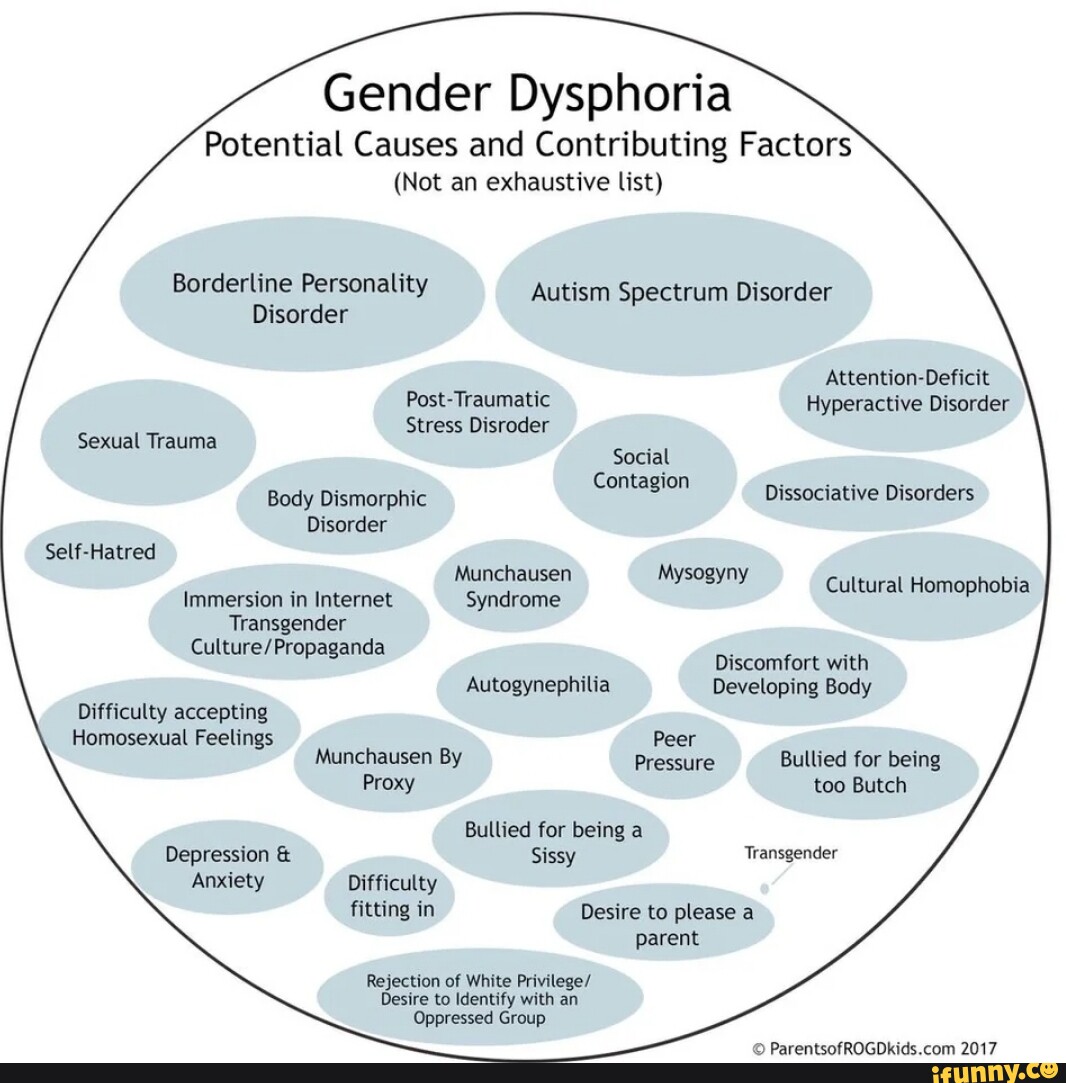 Gender Dysphoria Potential Causes and Contributing Factors (Not an ...