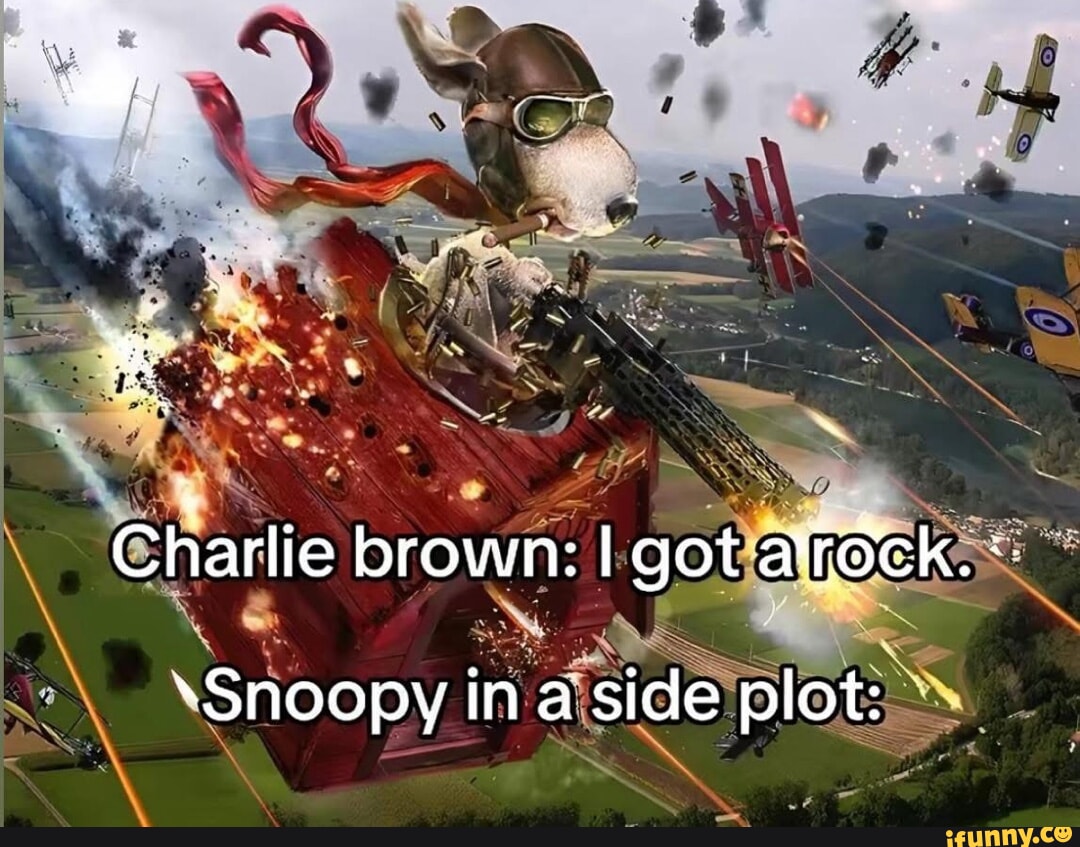 Charlie brown: I got areck. : 'Snoopy ina side plot: - iFunny