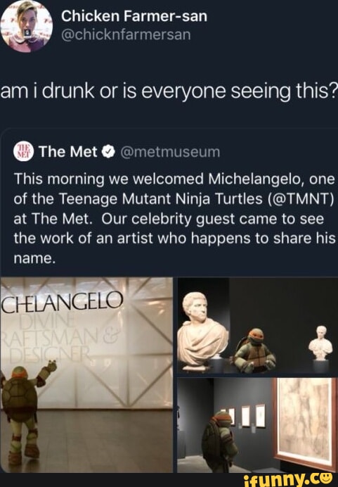 Michelangelo memes. Best Collection of funny Michelangelo pictures on ...