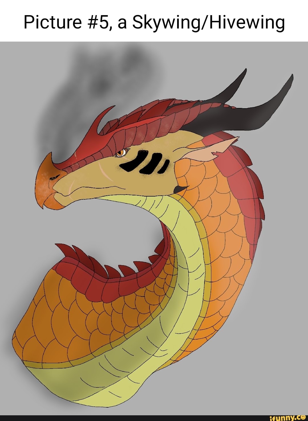 Hivewing memes. Best Collection of funny Hivewing pictures on iFunny