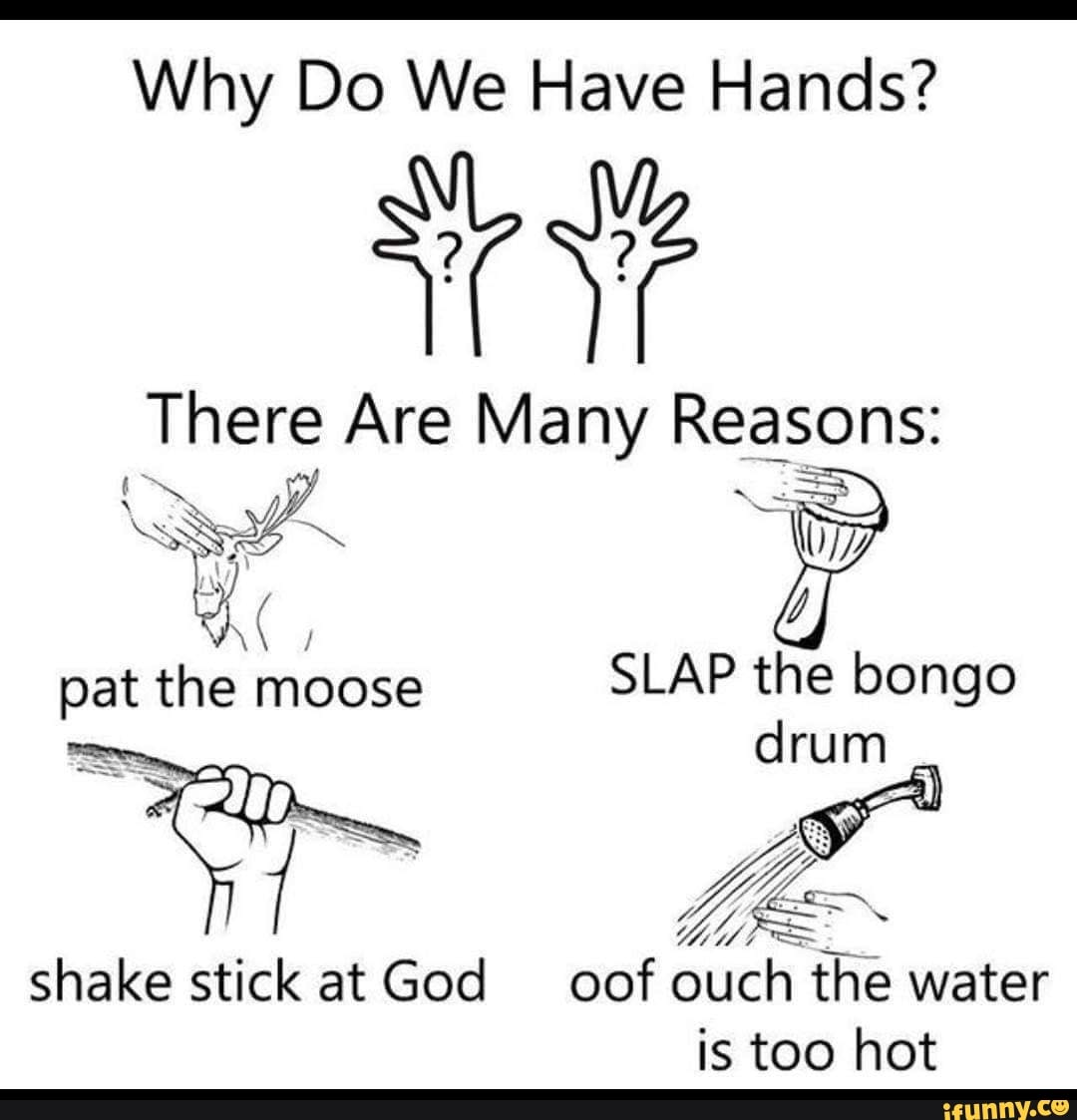 Why Do We Have Hands? There Are Many Reasons: AC the SLAP the bongo ...