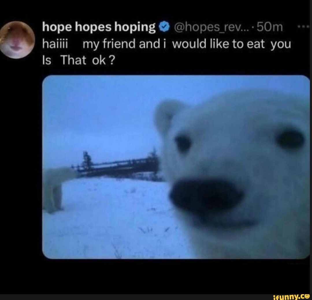 Haiiii memes. Best Collection of funny Haiiii pictures on iFunny