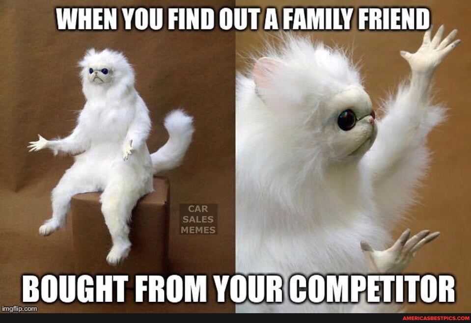 N/A - WHEN YOU FIND OUT FAMILY FRIEND SALES MEMES BOUGHT FROM YOUR ...