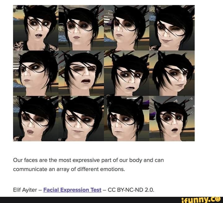 Our faces are the most expressive part of our body and can communicate ...