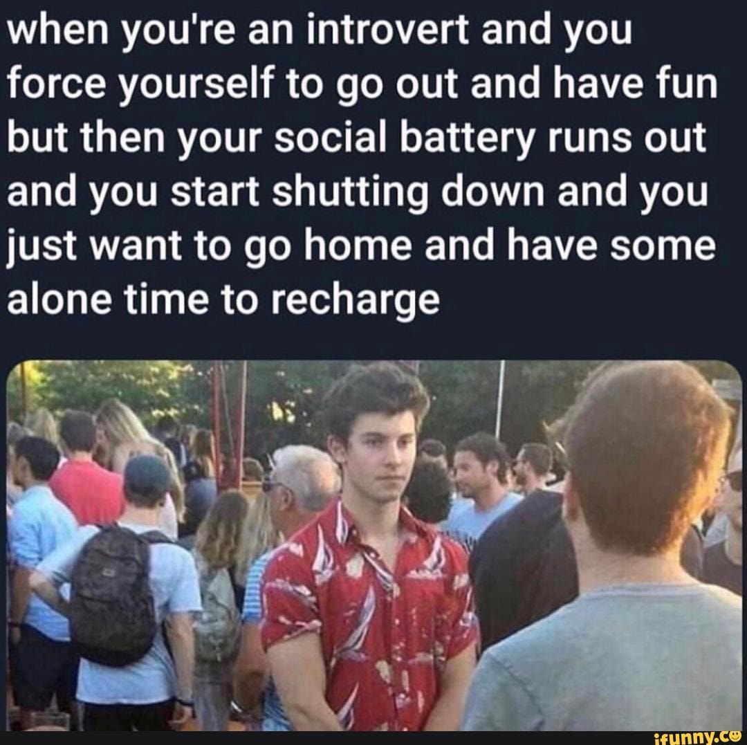 98% Pilfered Memes - when you're an introvert and you force yourself to ...