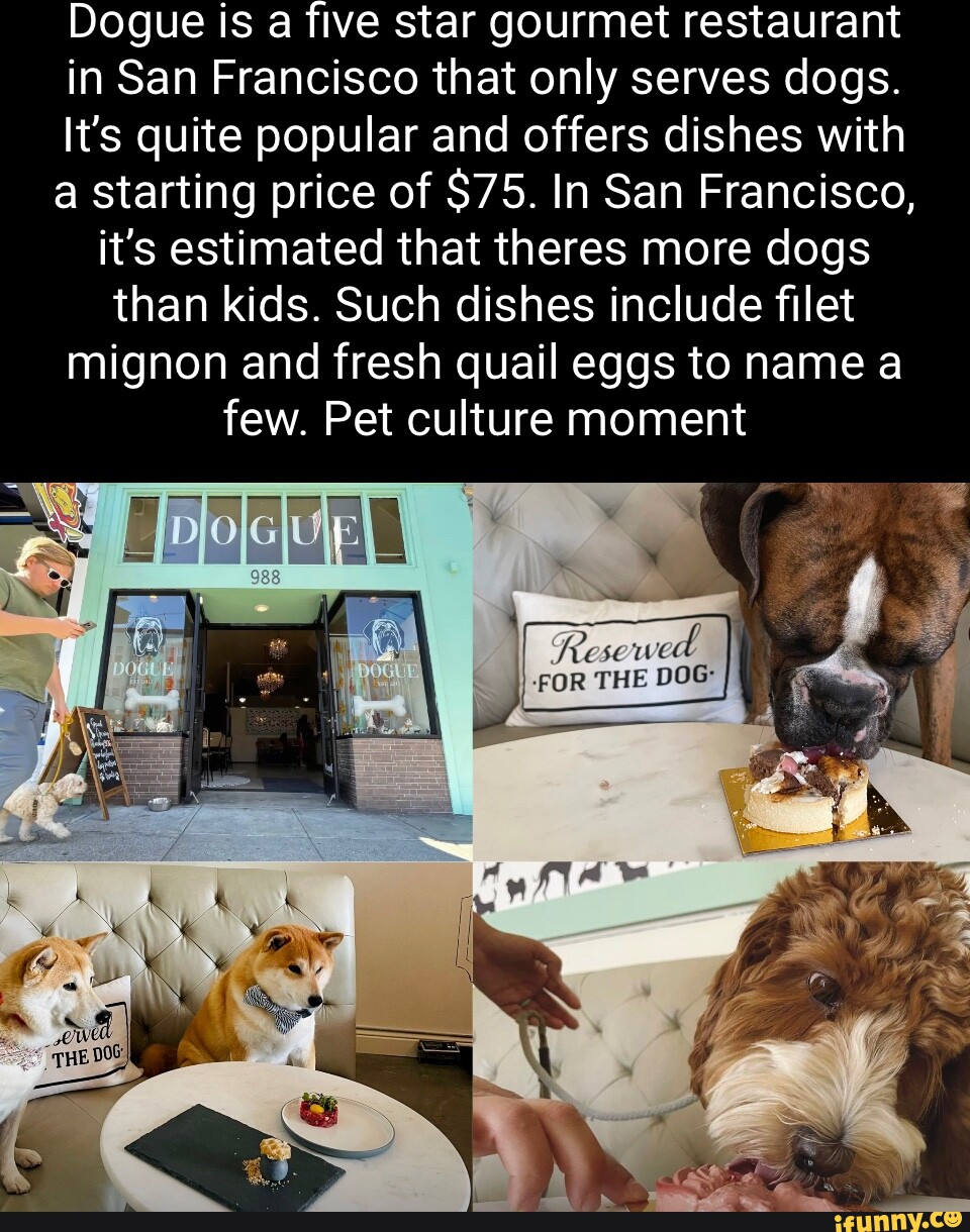 Dogue is a five star gourmet restaurant in San Francisco that only ...