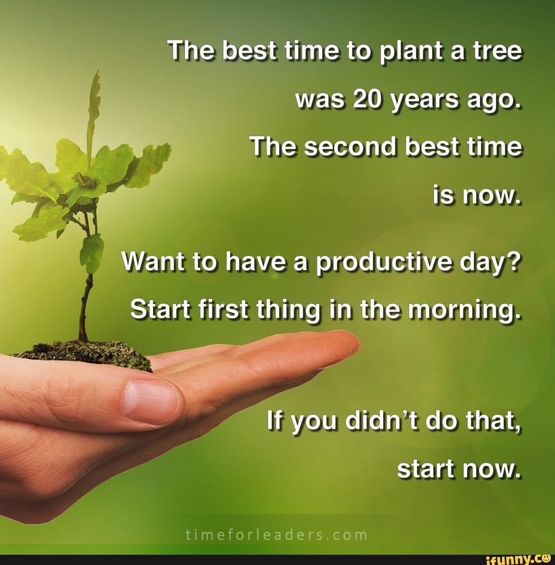 The best time to plant a tree was 20 years ago. The second best time is ...