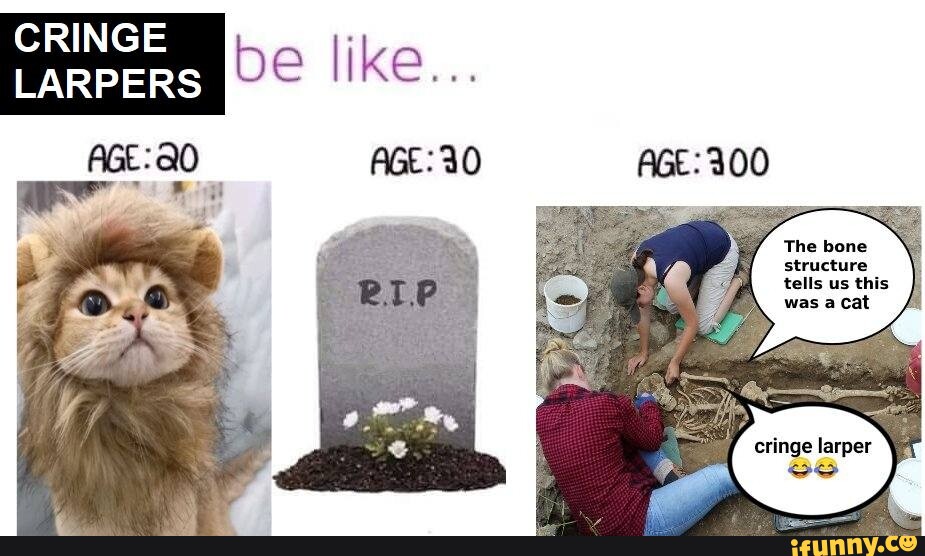 CRINGE Carpers be like... AGE: AGE: Is us sa cringe larper - iFunny