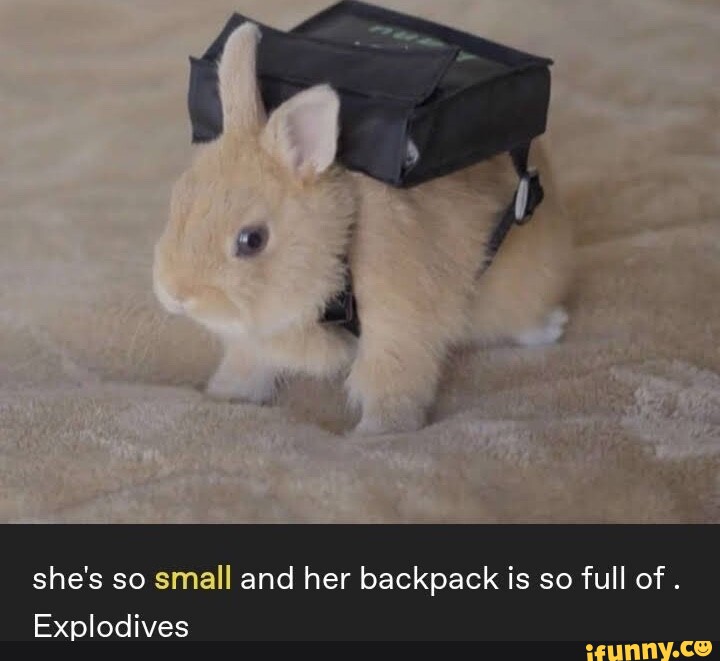 She's so small and her backpack is so full of Explodives - iFunny