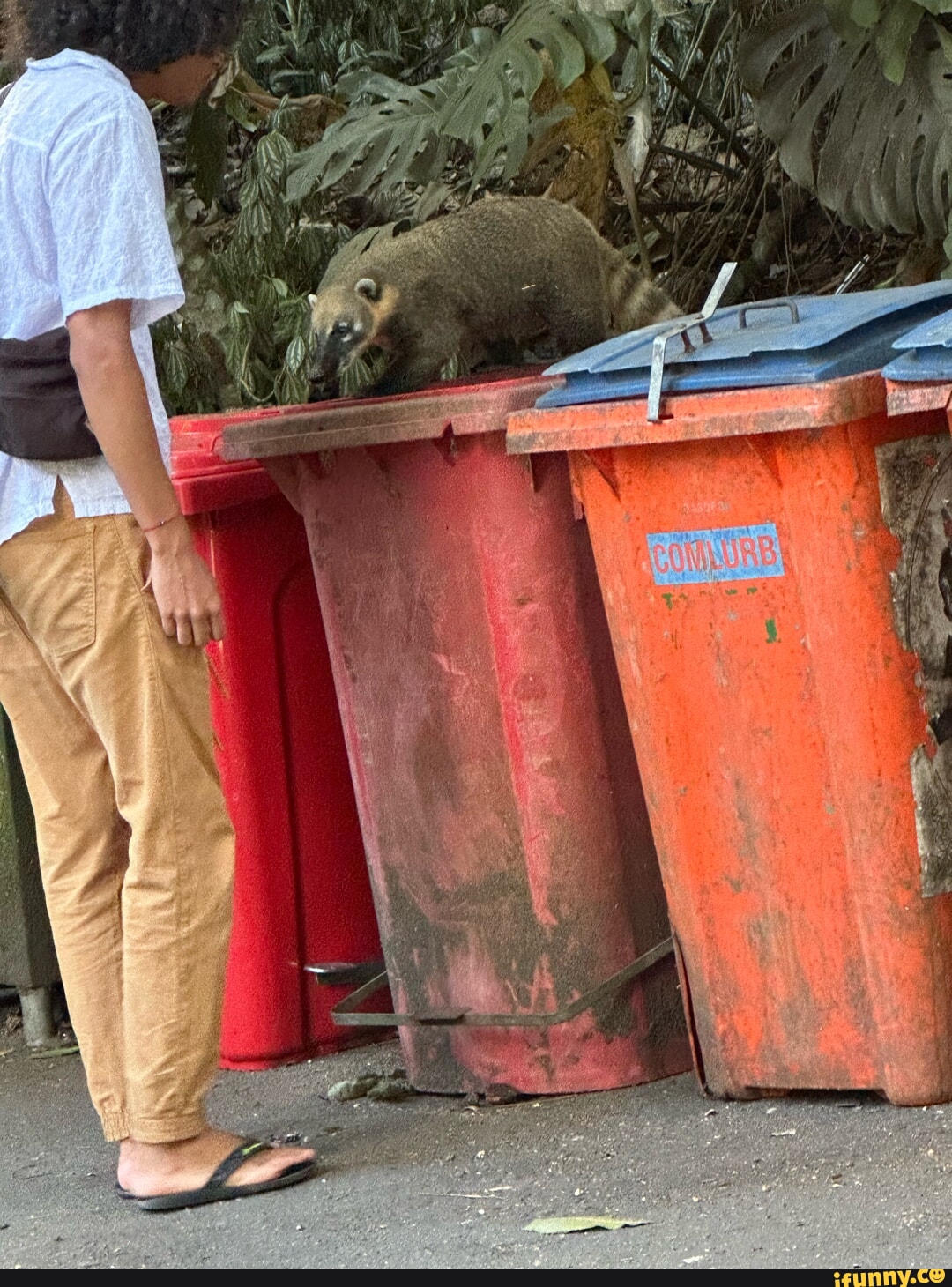 Rio memes. Best Collection of funny Rio pictures on iFunny