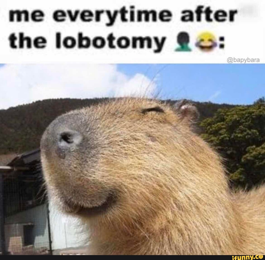 Lobotomy memes. Best Collection of funny Lobotomy pictures on iFunny