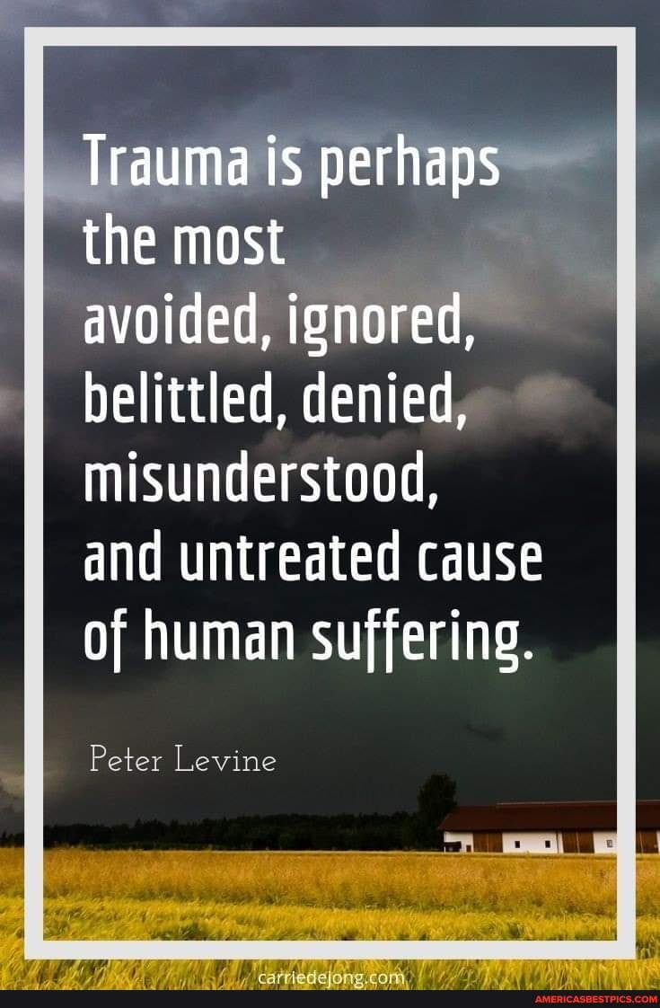 Trauma is perhaps the most avoided, ignored, belittled, denied ...