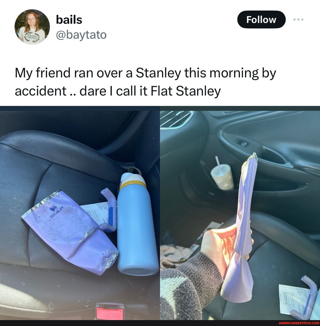 RIP Stanley. He would have loved the office. 🥗 @baytato Follow ...