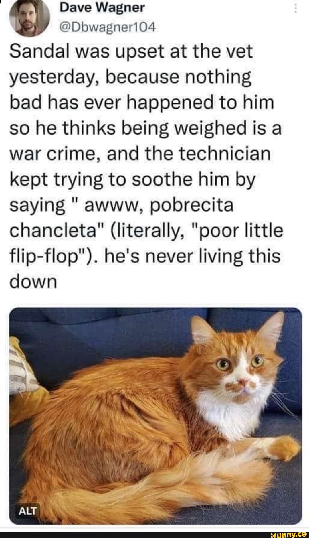 Sandal memes. Best Collection of funny Sandal pictures on iFunny