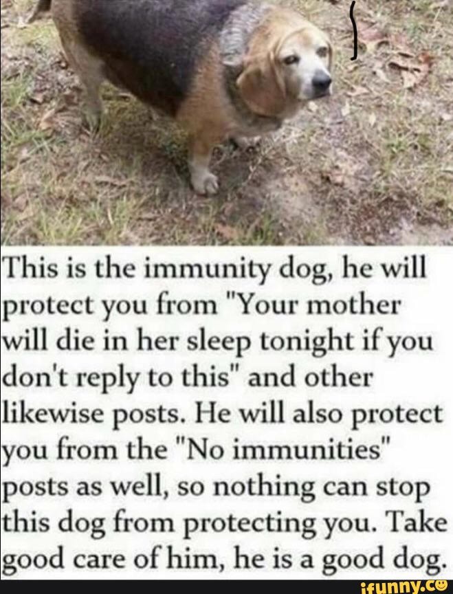 This is the immunity dog, he will protect you from "Your mother will ...
