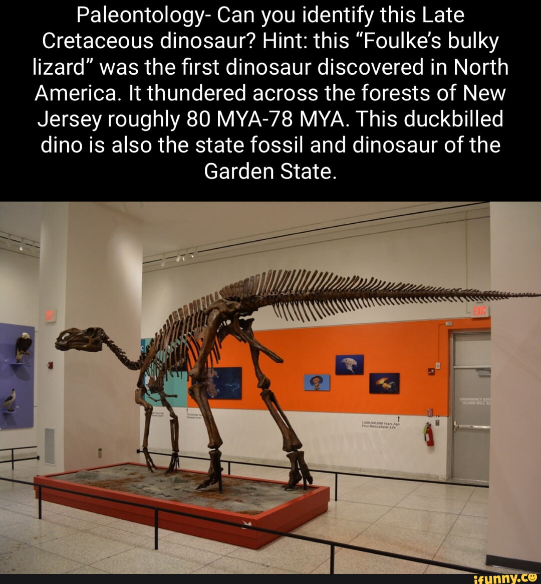 Paleontology- Can you identify this Late Cretaceous dinosaur? Hint ...