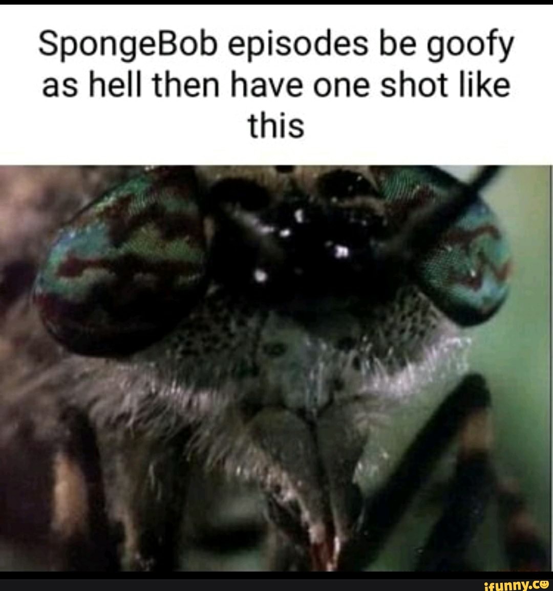 SpongeBob episodes be goofy as hell then have one shot like this - iFunny