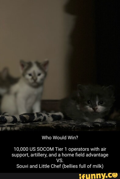 Who Would Win? 10,000 US SOCOM Tier 1 operators with air 'support ...