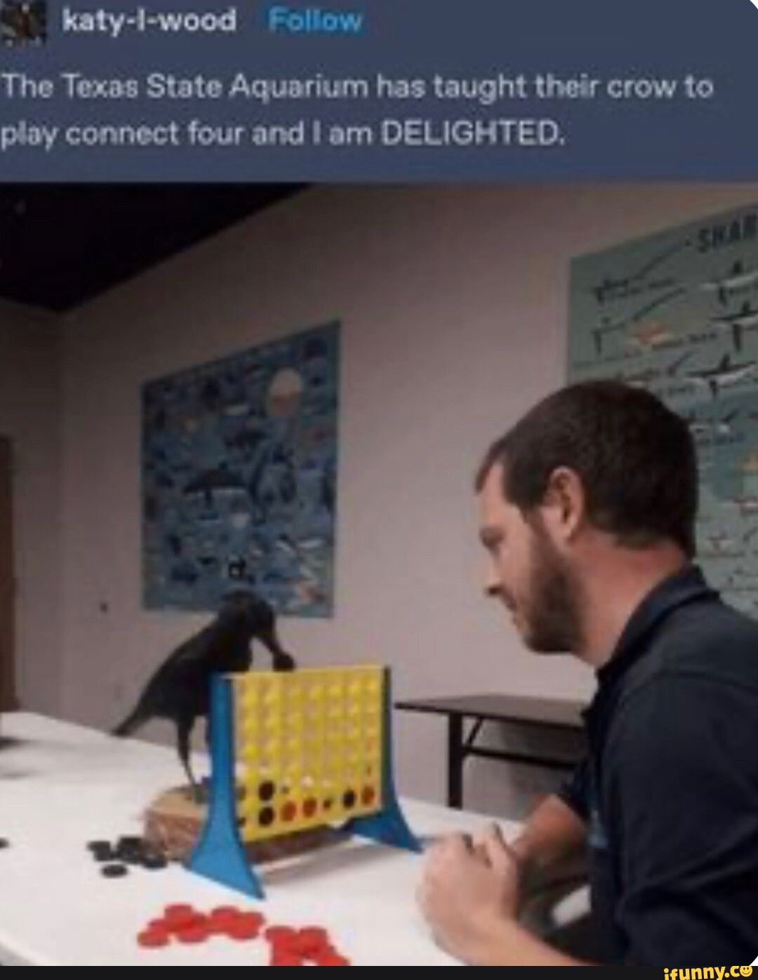 Katy-l-wood Follow The Texas State Aquarium has taught their crow to ...