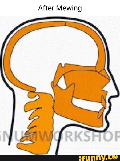 Mewing memes. Best Collection of funny Mewing pictures on iFunny