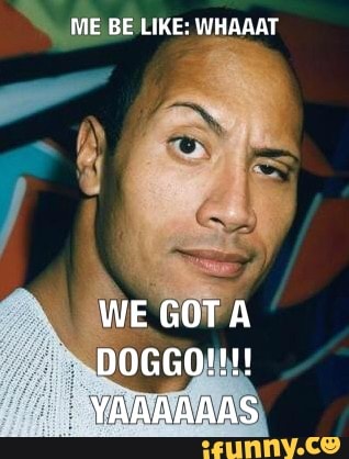 Yaaaaaas memes. Best Collection of funny Yaaaaaas pictures on iFunny